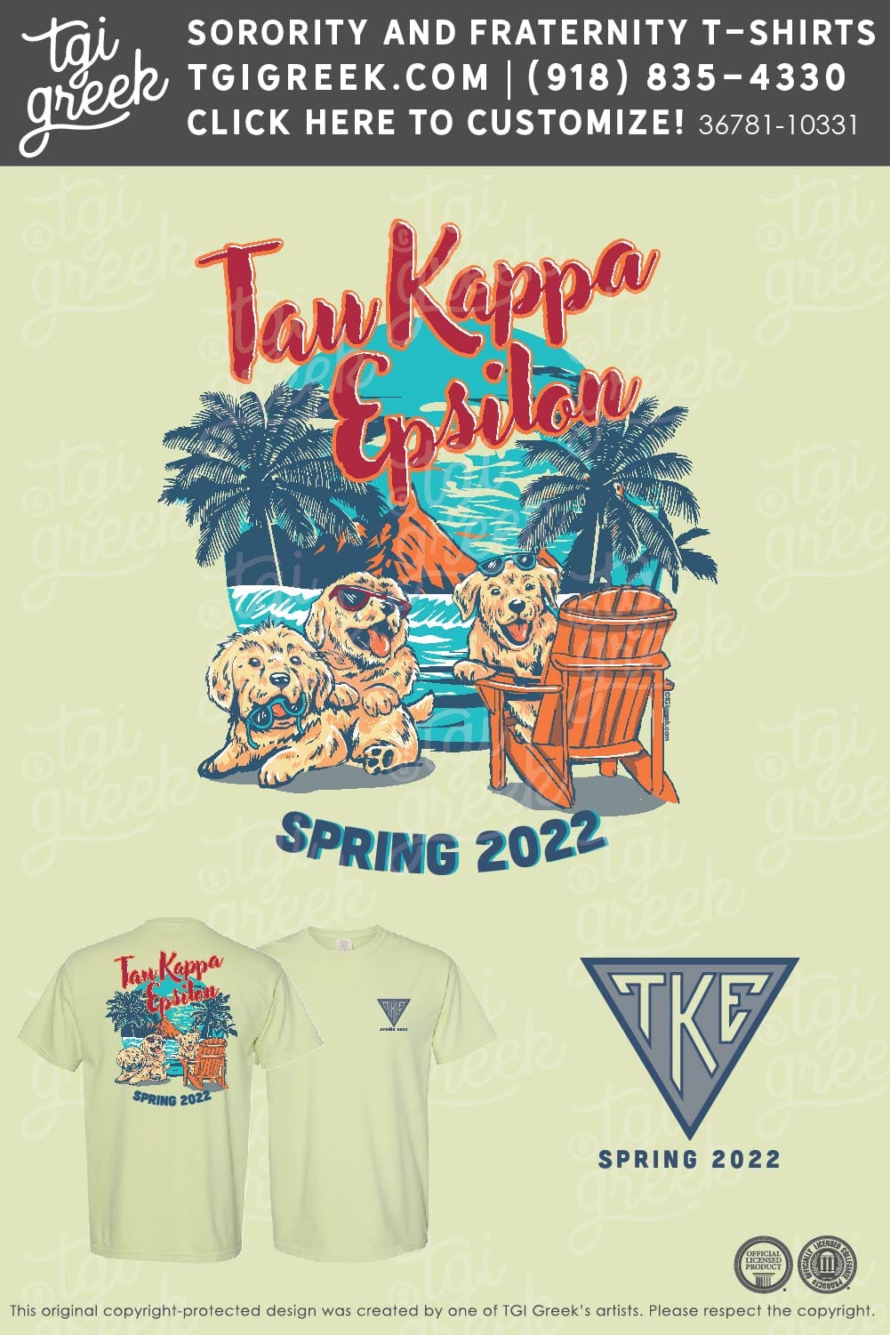 Tau Kappa Epsilon - BING Spring Rush - TGI Greek